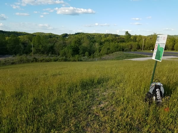 Blog - Stay Updated With The Latest Disc Golf News