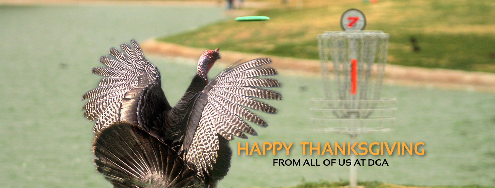 Thank You For All Your Support And Happy Thanksgiving | DGA Disc Golf
